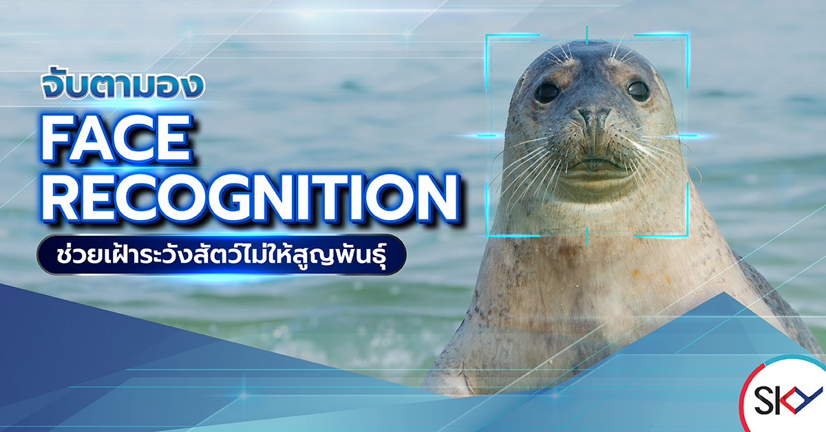 Face Recognition,นวัตกรรม - SKY ICT