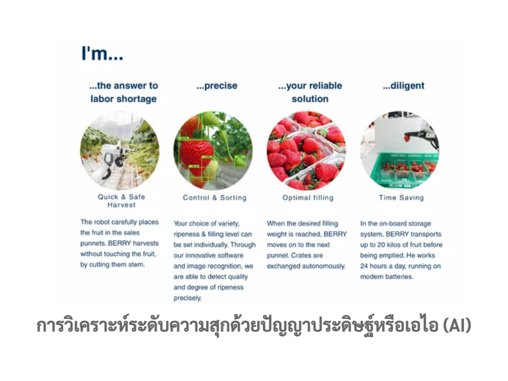 AI Berry คัดความสดส่งตรงผลไม้ 24 ชม | SKY ICT PUBLIC COMPANY LIMITED TH