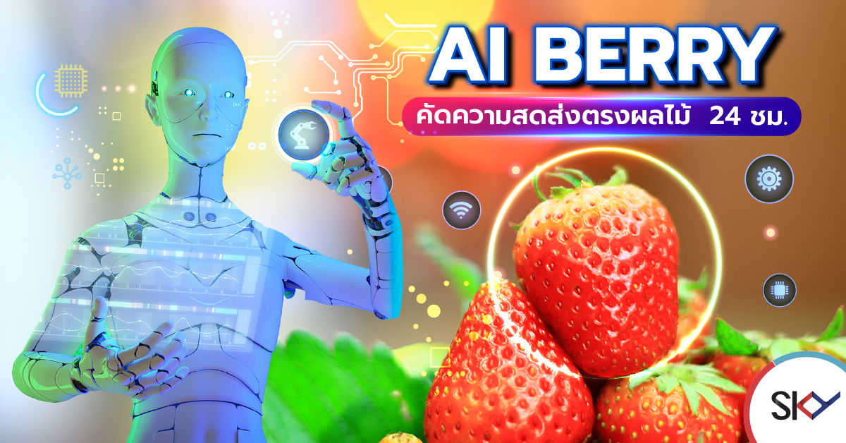 AI Berry คัดความสดส่งตรงผลไม้ 24 ชม - SKY ICT